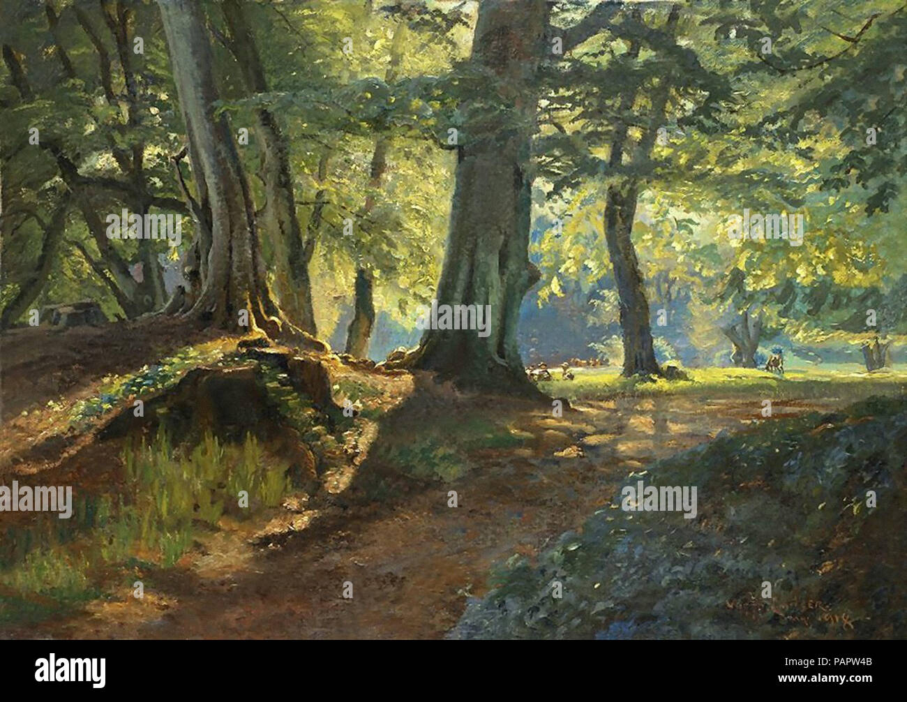 Langer Olaf Viggo Peter - Afternoon Walk Through the Forest Stock Photo ...