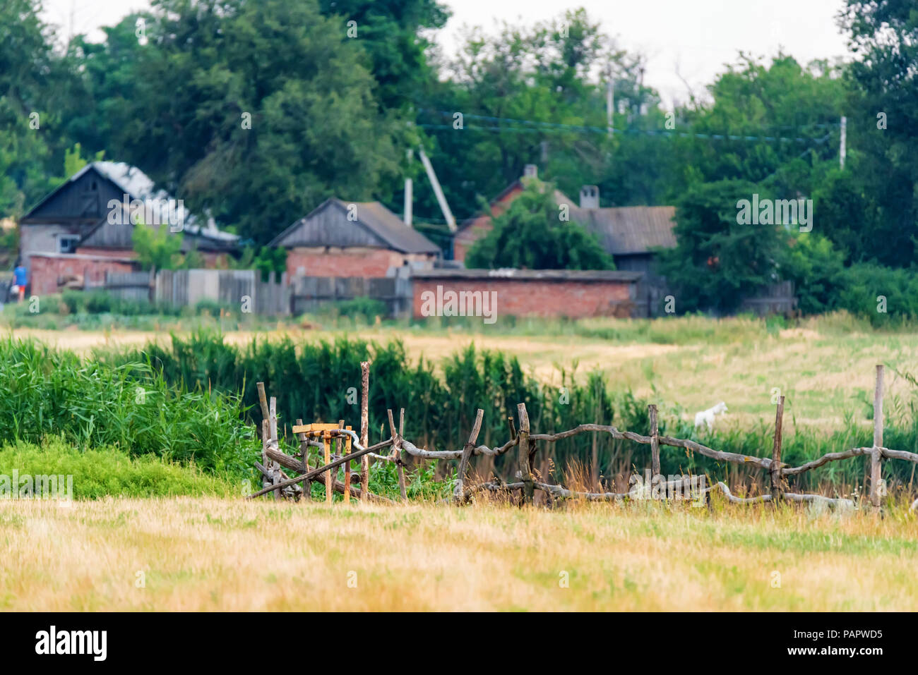Rural background with field and hiuses in summer Stock Photo - Alamy