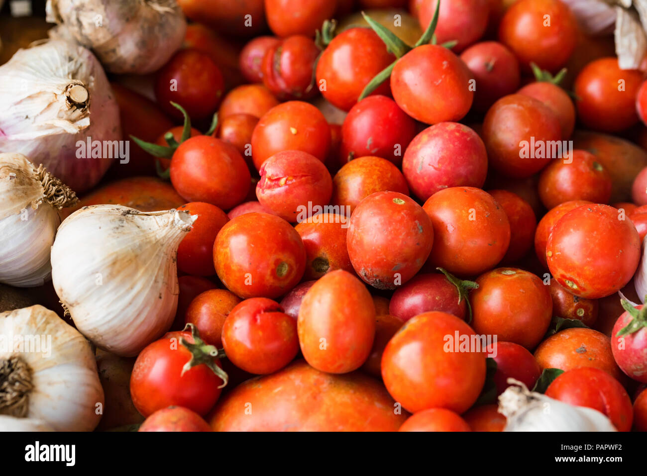 Top view freshly picked tomatoes and garlic Stock Photo - Alamy