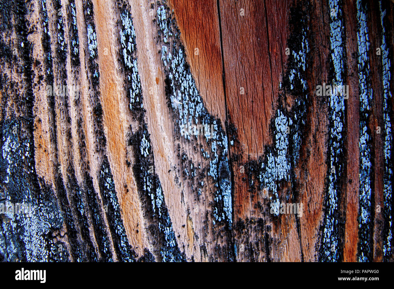 Old rustic wooden texture wall with boards and cracked paint Stock ...