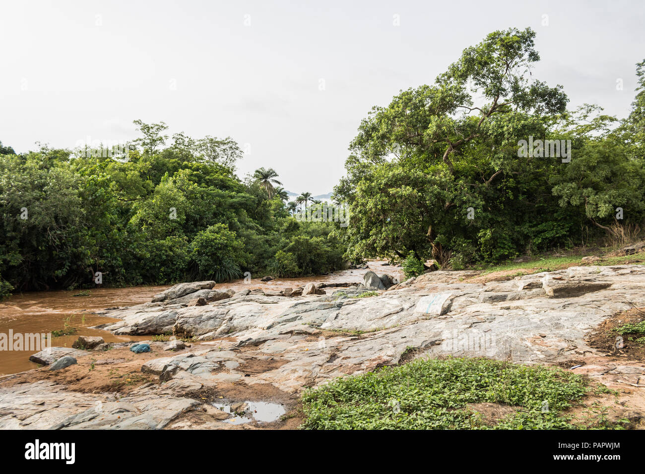 A remote fat flowing stream of water in the rainforest, surrounded by ...