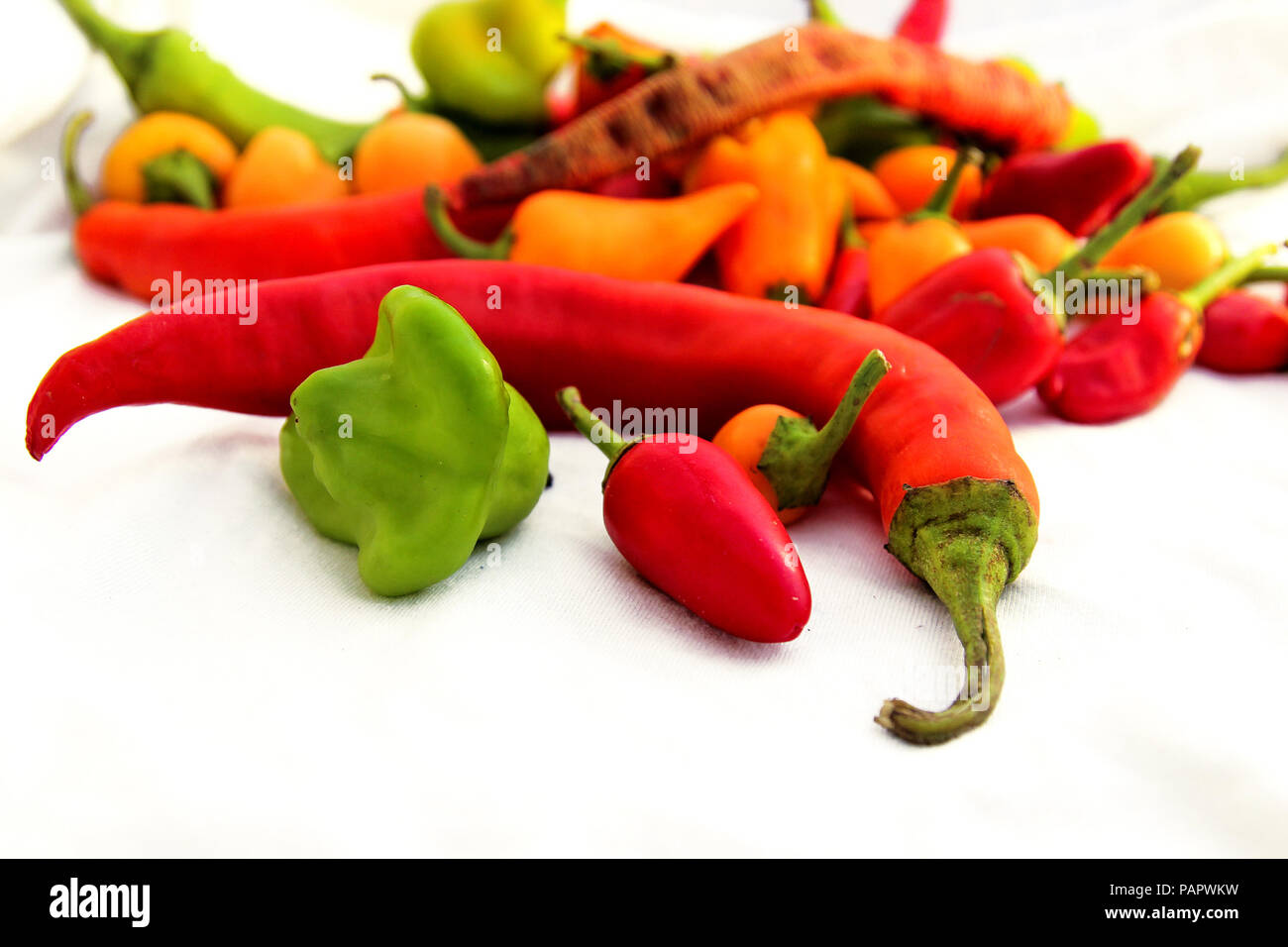 Small spicy chili peppers of different colours on white background ...