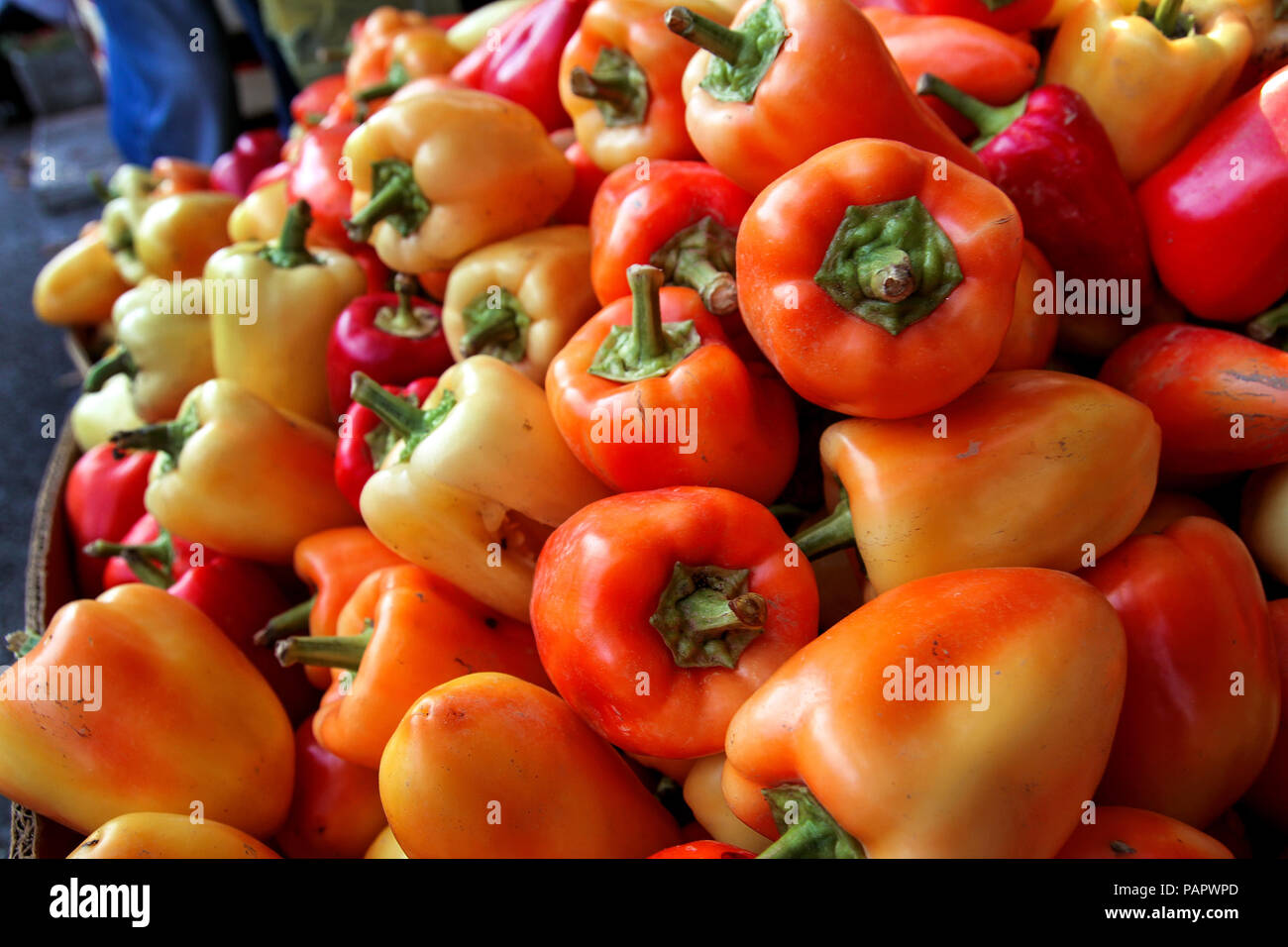 Organic fresh colorful bell peppers on city green market Stock Photo ...