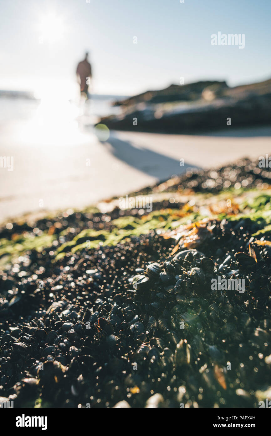 Blurred silhouette man walking in hi-res stock photography and images ...