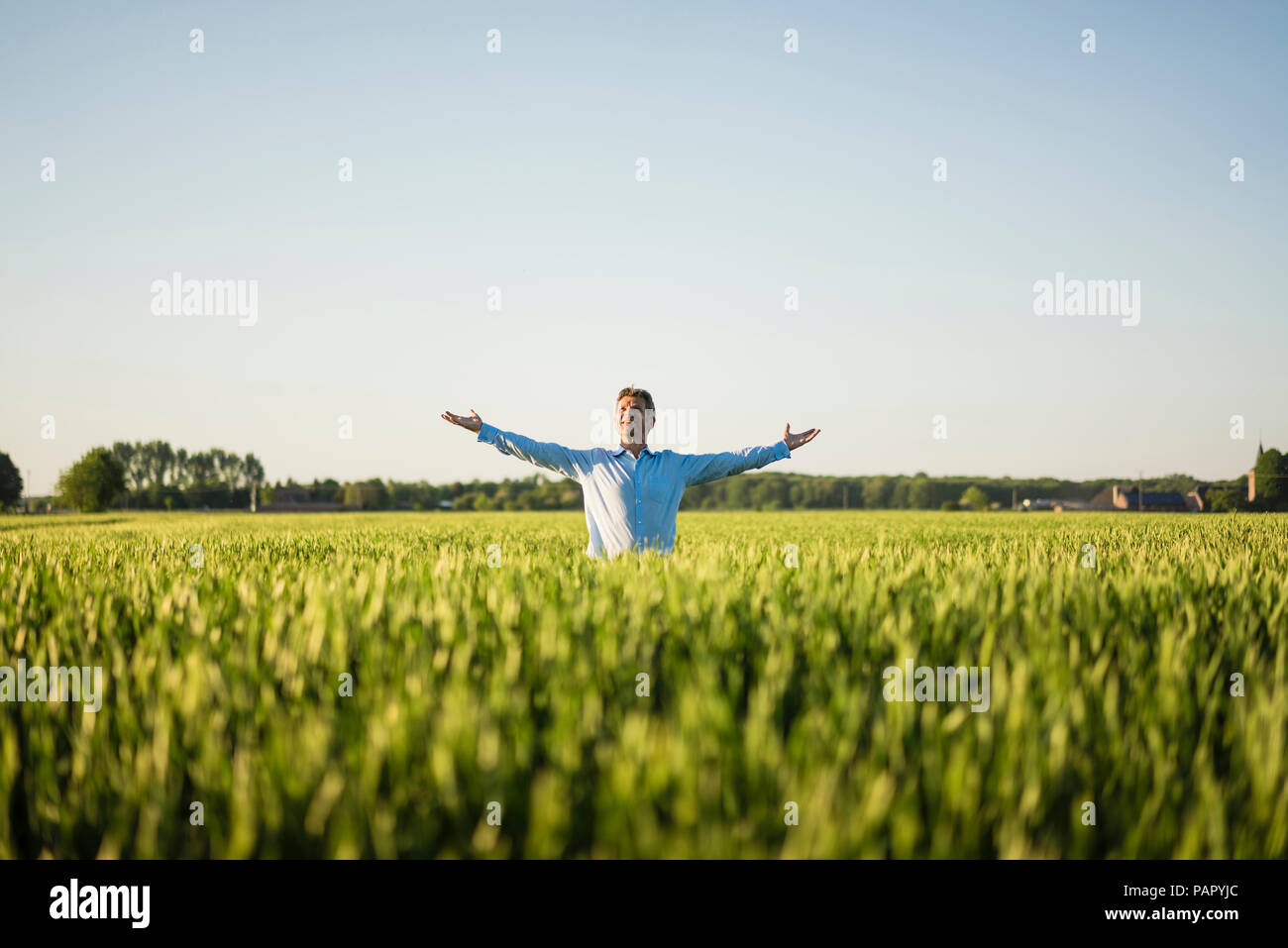 Businessman standing in grain field, raised arms Stock Photo - Alamy Businessman standing in grain field, raised arms Stock Photo - Alamy