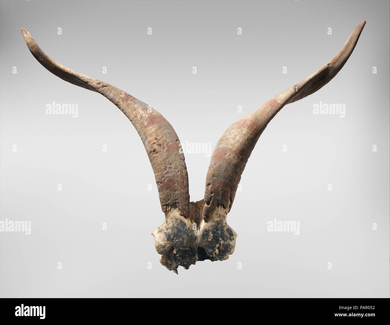 Bucranium. Dimensions: w. of antlers 45 cm (17 11/16 in). Dynasty ...