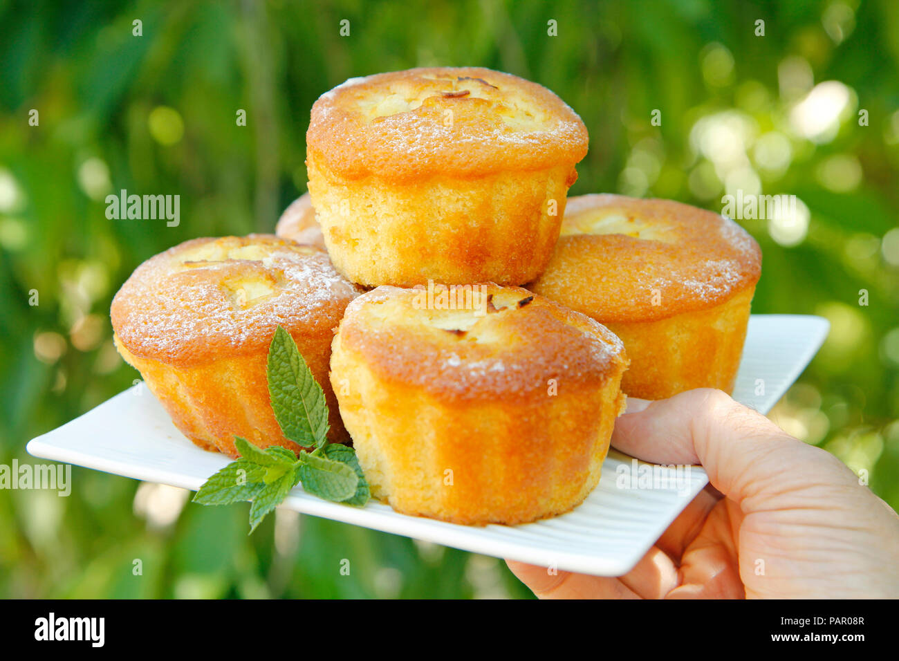 Human Hands Holding Muffin High Resolution Stock Photography and Images ...