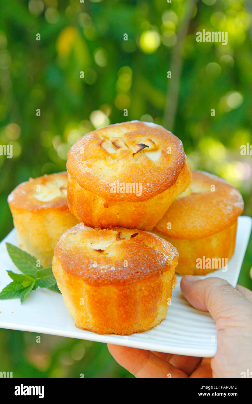 Human Hands Holding Muffin High Resolution Stock Photography and Images ...