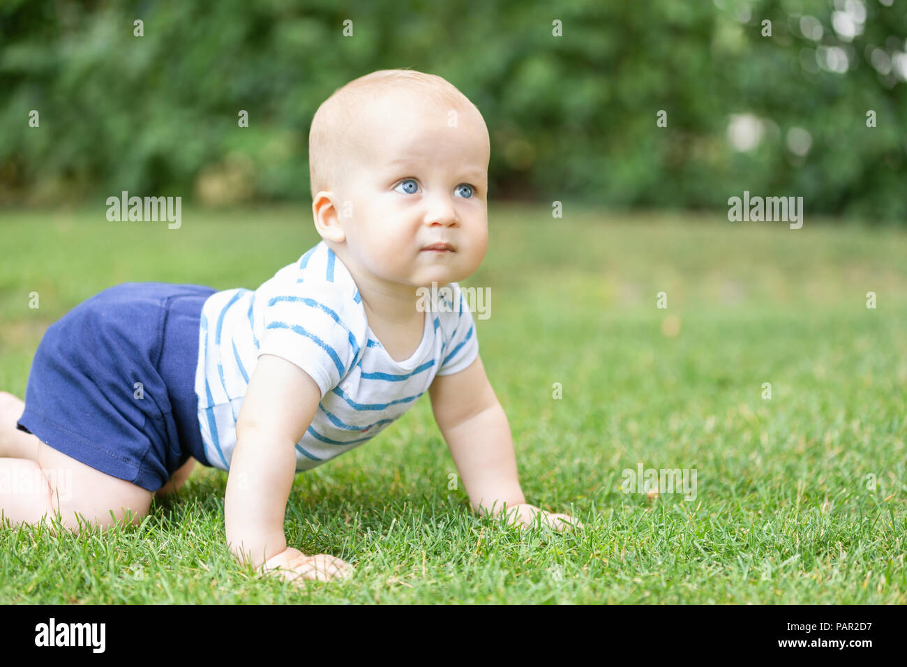 Portrait of cute blond pensive baby boy crawling on green grass lawn ...