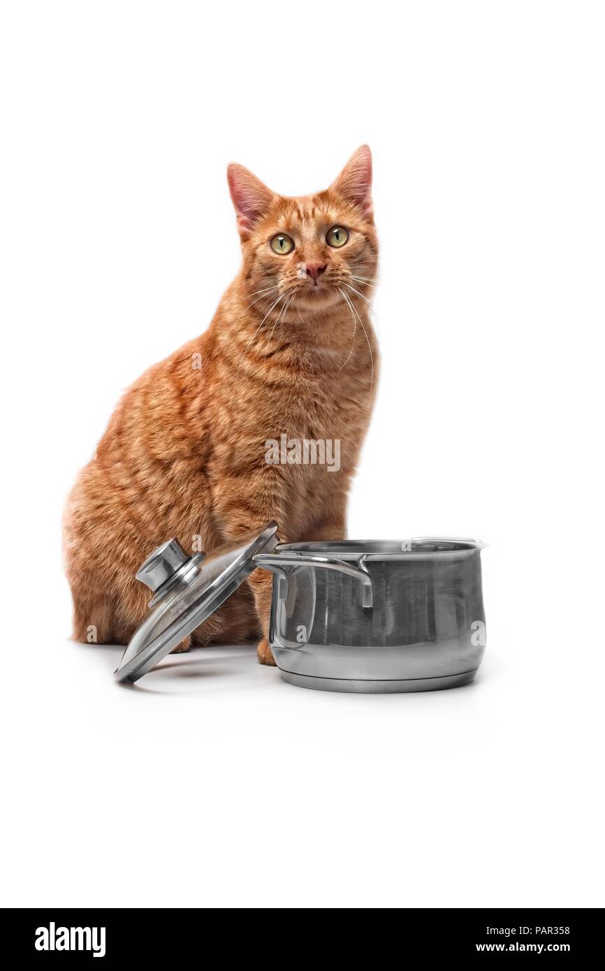 Sitting cooking hi-res stock photography and images - Alamy