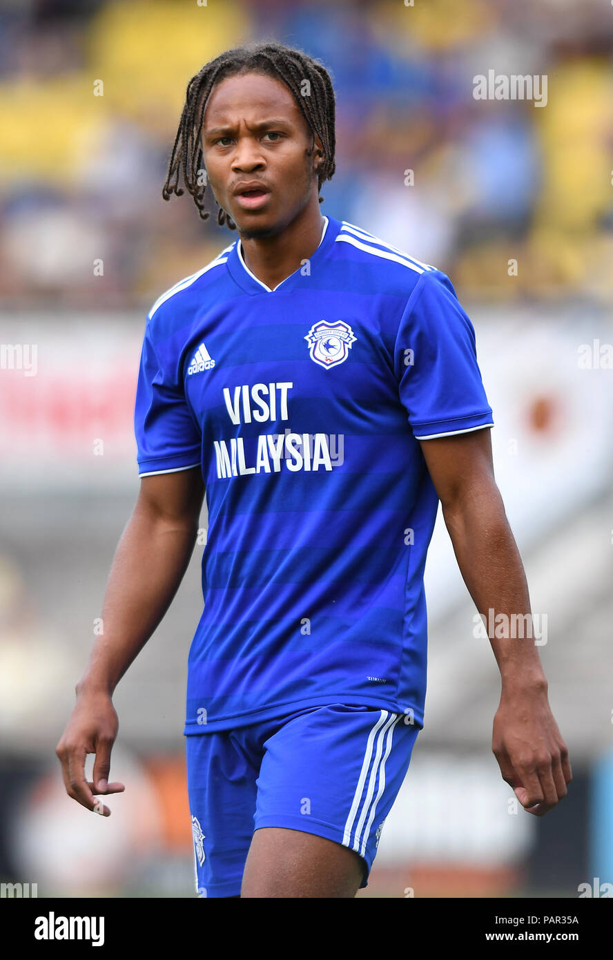 Cardiff City's Robby Reid Stock Photo - Alamy