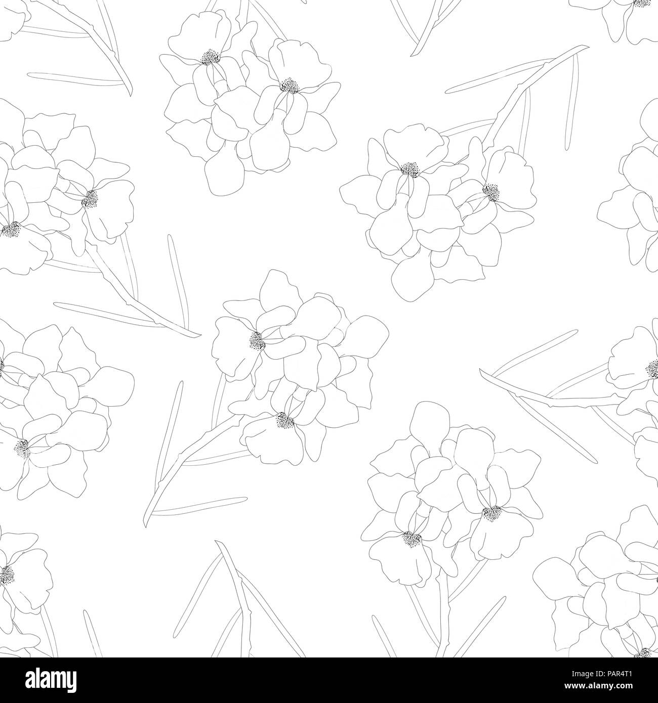 Vanda Miss Joaquim Orchid Outline on White Background. Singapore ...