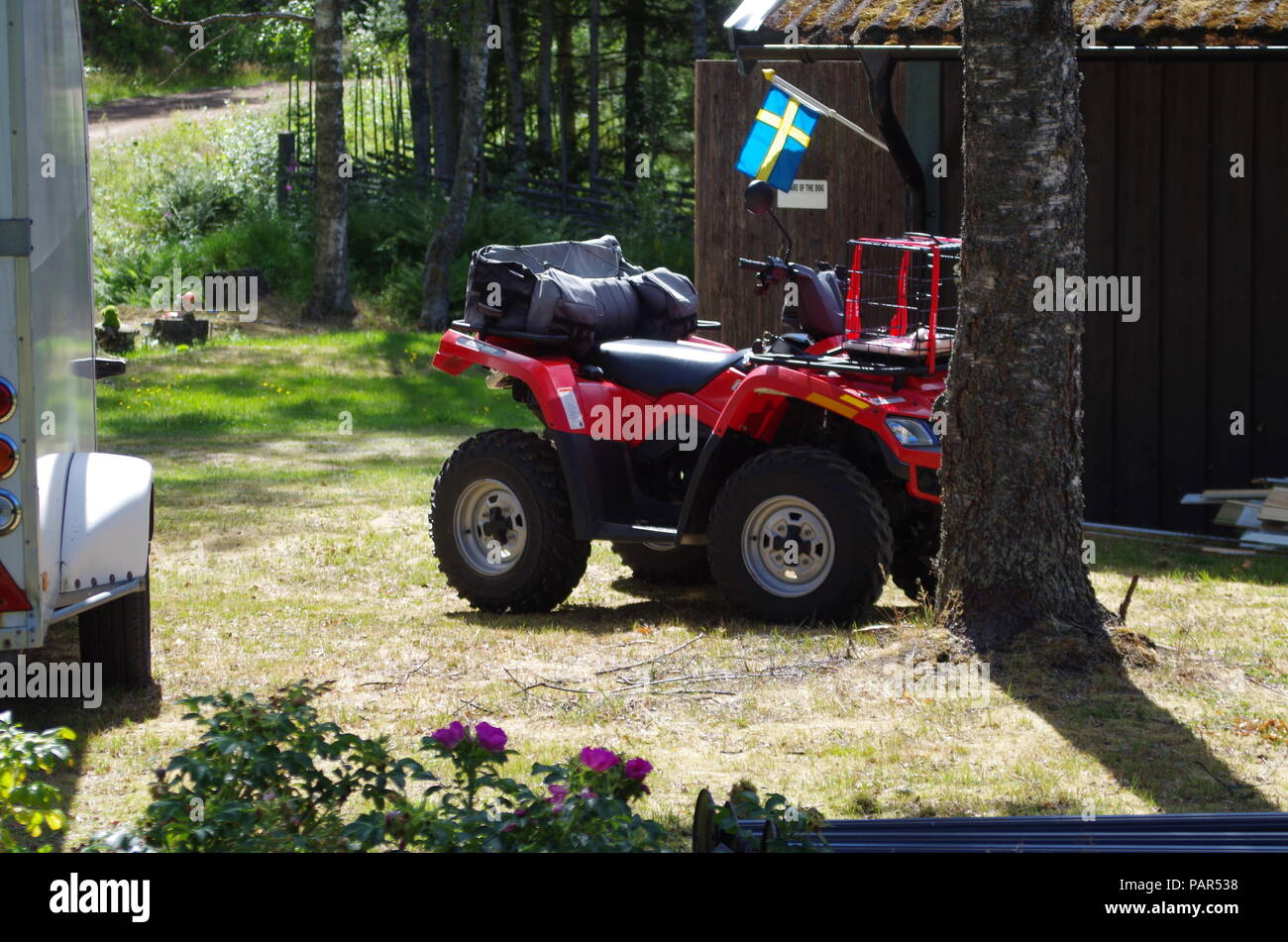 Red Quad in a garden near a tree Stock Photo - Alamy