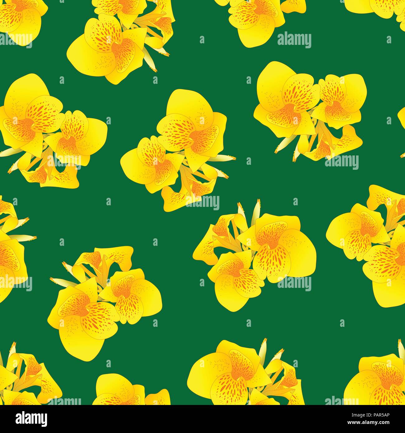 Indian shot plant yellow petal leaf Stock Vector Images - Alamy