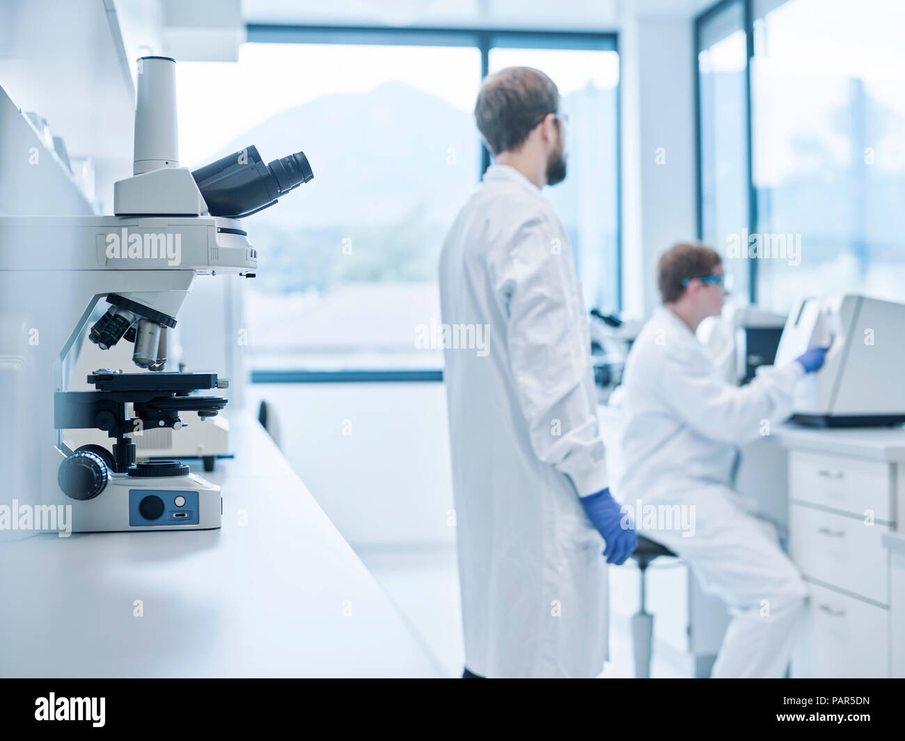 chemical laboratory technicians working in laboratory Stock Photo - Alamy