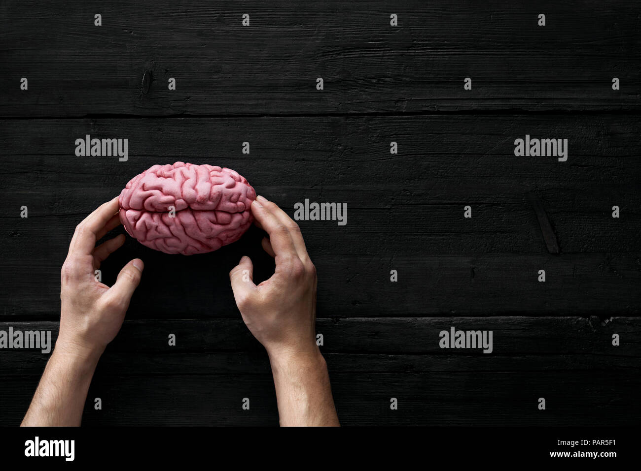 Human hands touching brain hi-res stock photography and images - Alamy