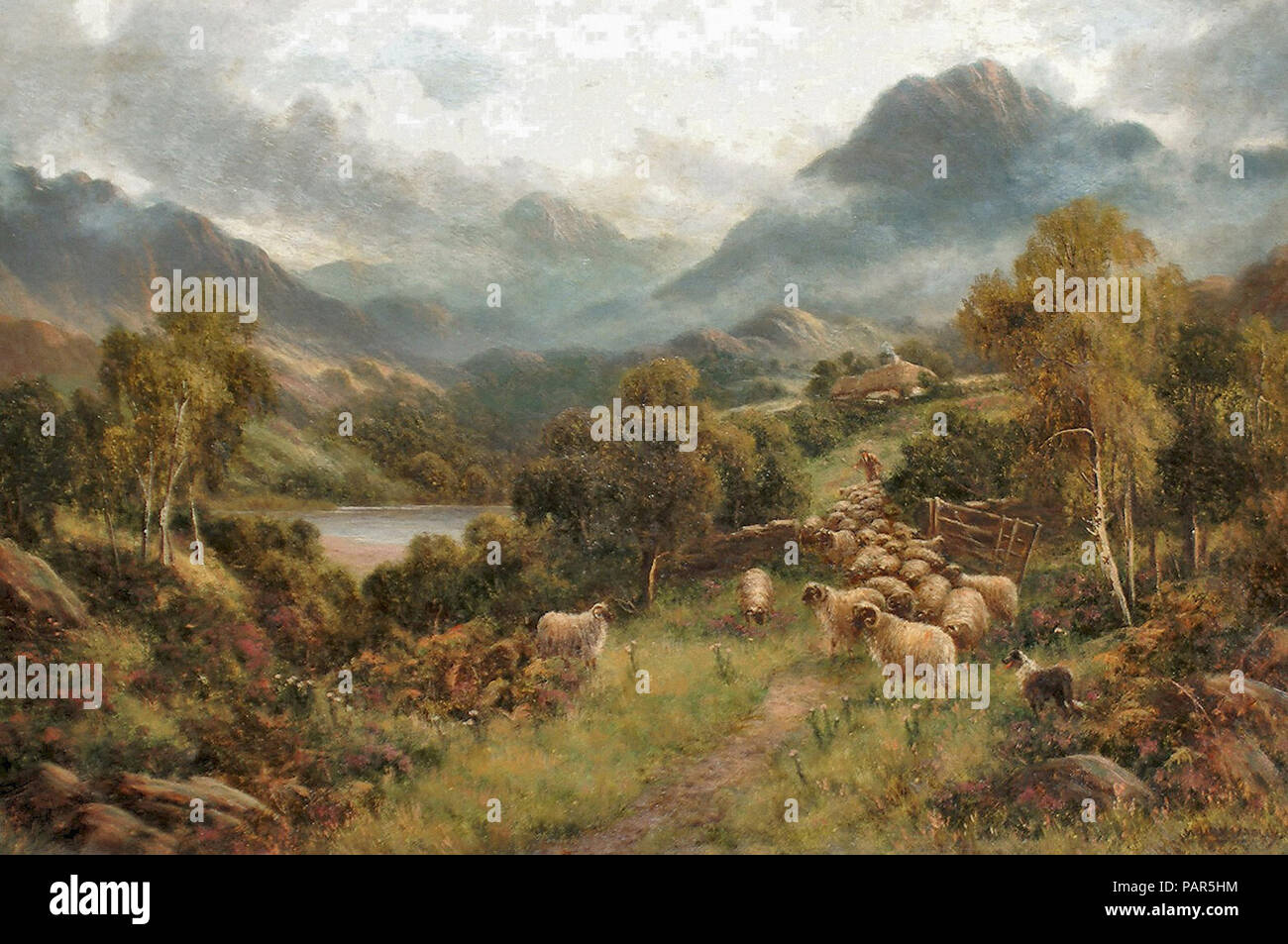 Langley William - Drover and Sheep in a Highland Landscape Stock Photo ...