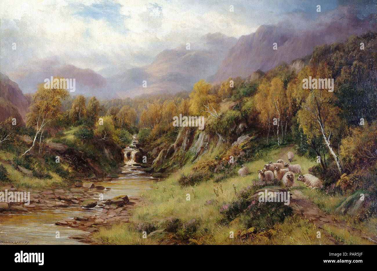 Langley William - Sheep by a Moorland Stream Stock Photo - Alamy