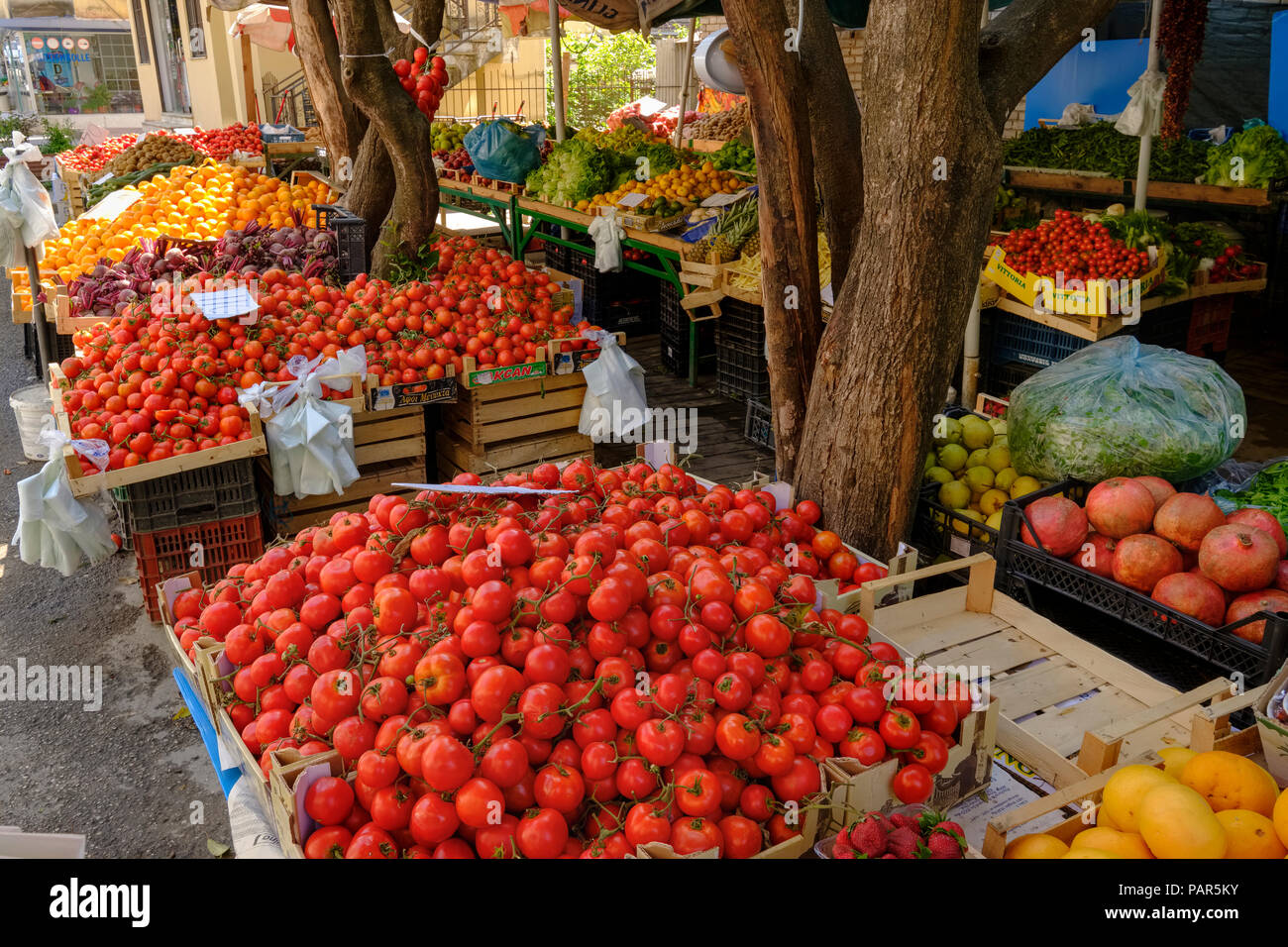 Albania, Tirana, stall with tomatoes, vegetables and fruits Stock Photo ...