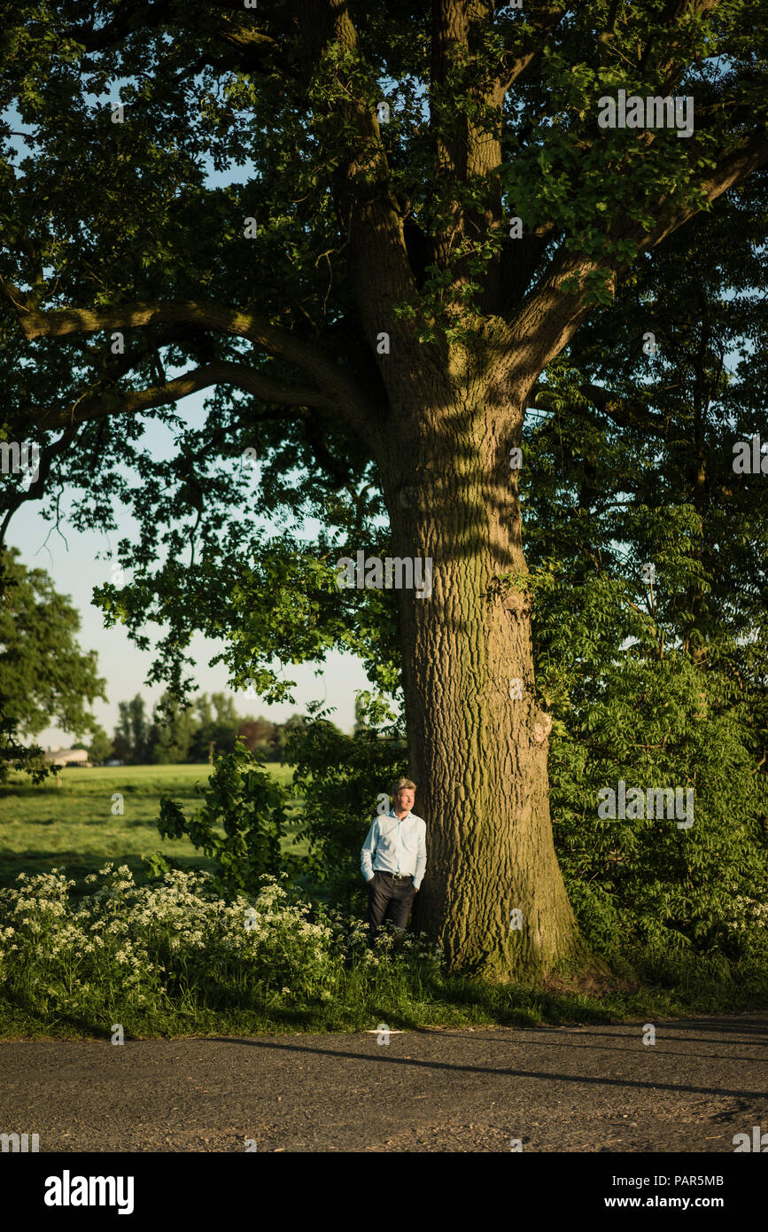 Leaning tree hi-res stock photography and images - Alamy