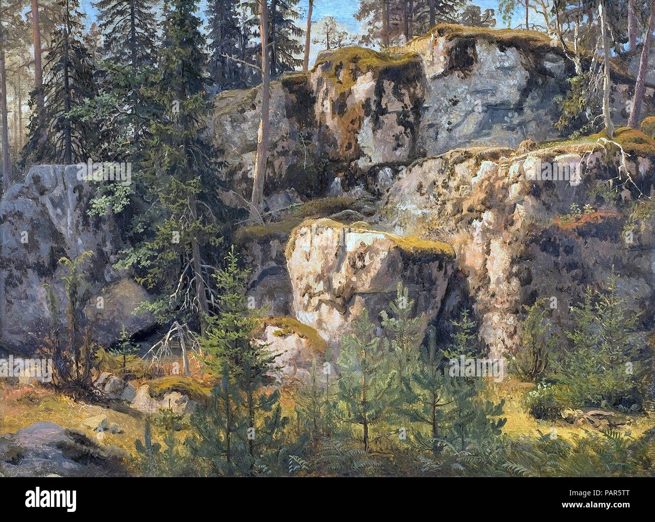 Larson Marcus - Stony Forest Stock Photo - Alamy