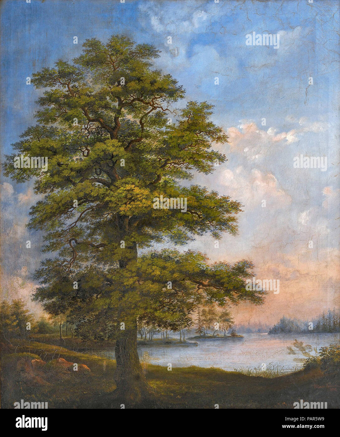 Larson Marcus - Tree by the Shore Stock Photo - Alamy