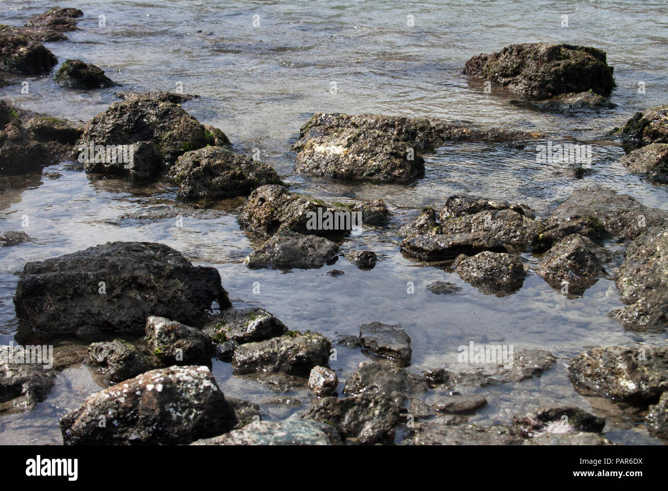 Beach Rocks close-up Stock Photo - Alamy