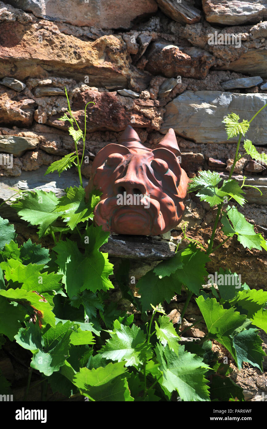 Gargoyle ivy hi-res stock photography and images - Alamy