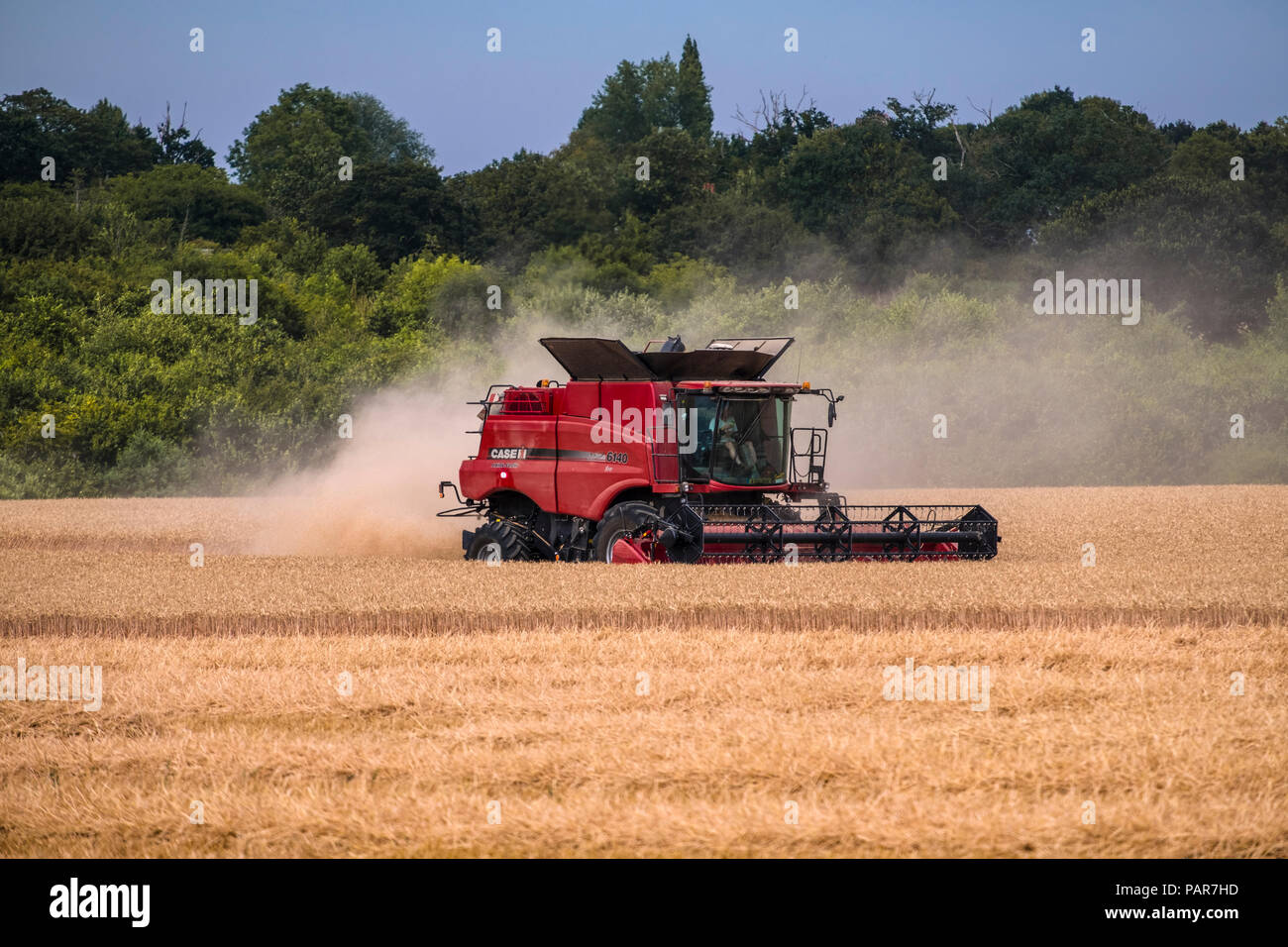 Red combine harvester harvesting a wheat field, Suffolk, UK Stock Photo ...