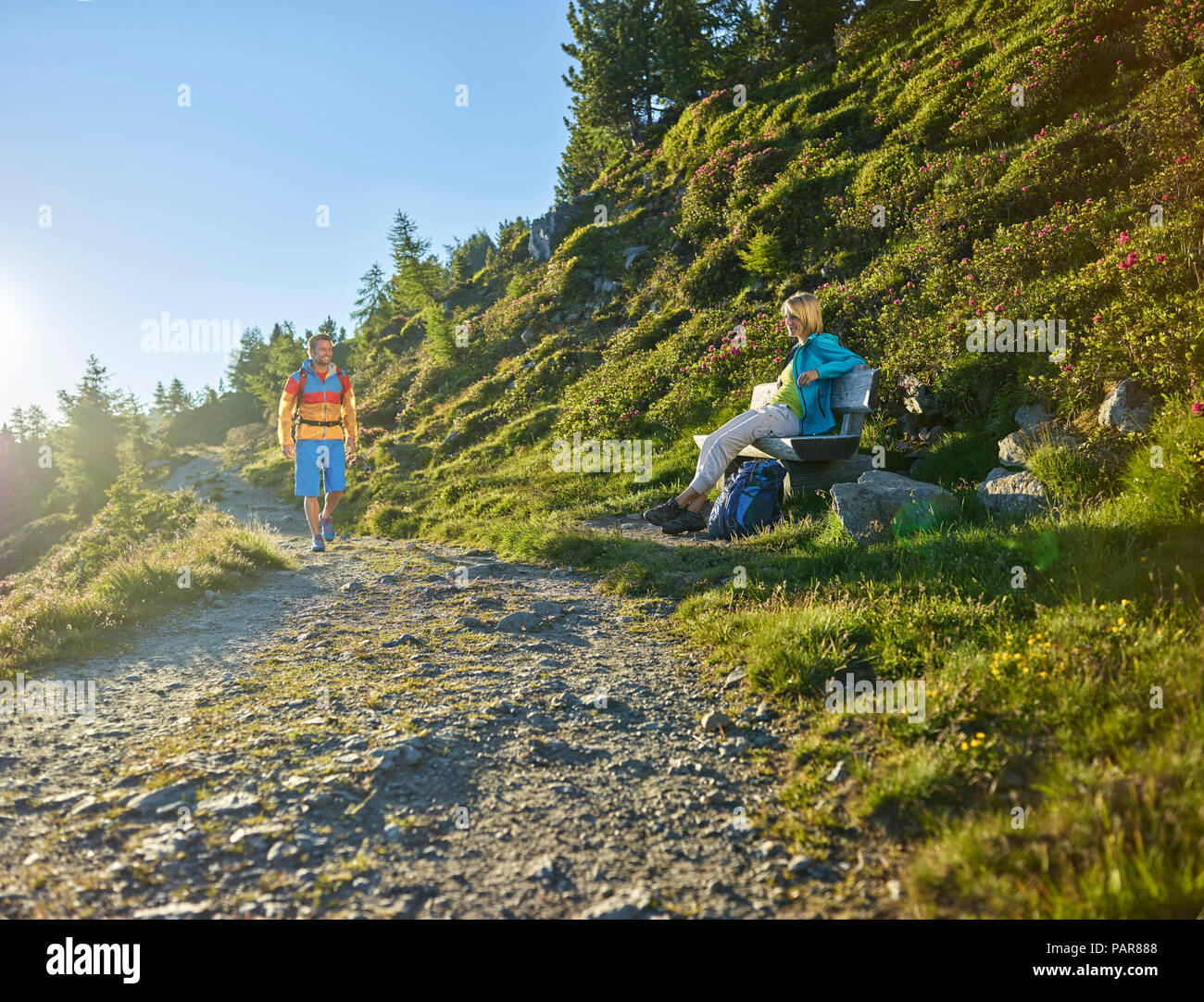 Zirbenweg hiking trail hi-res stock photography and images - Alamy