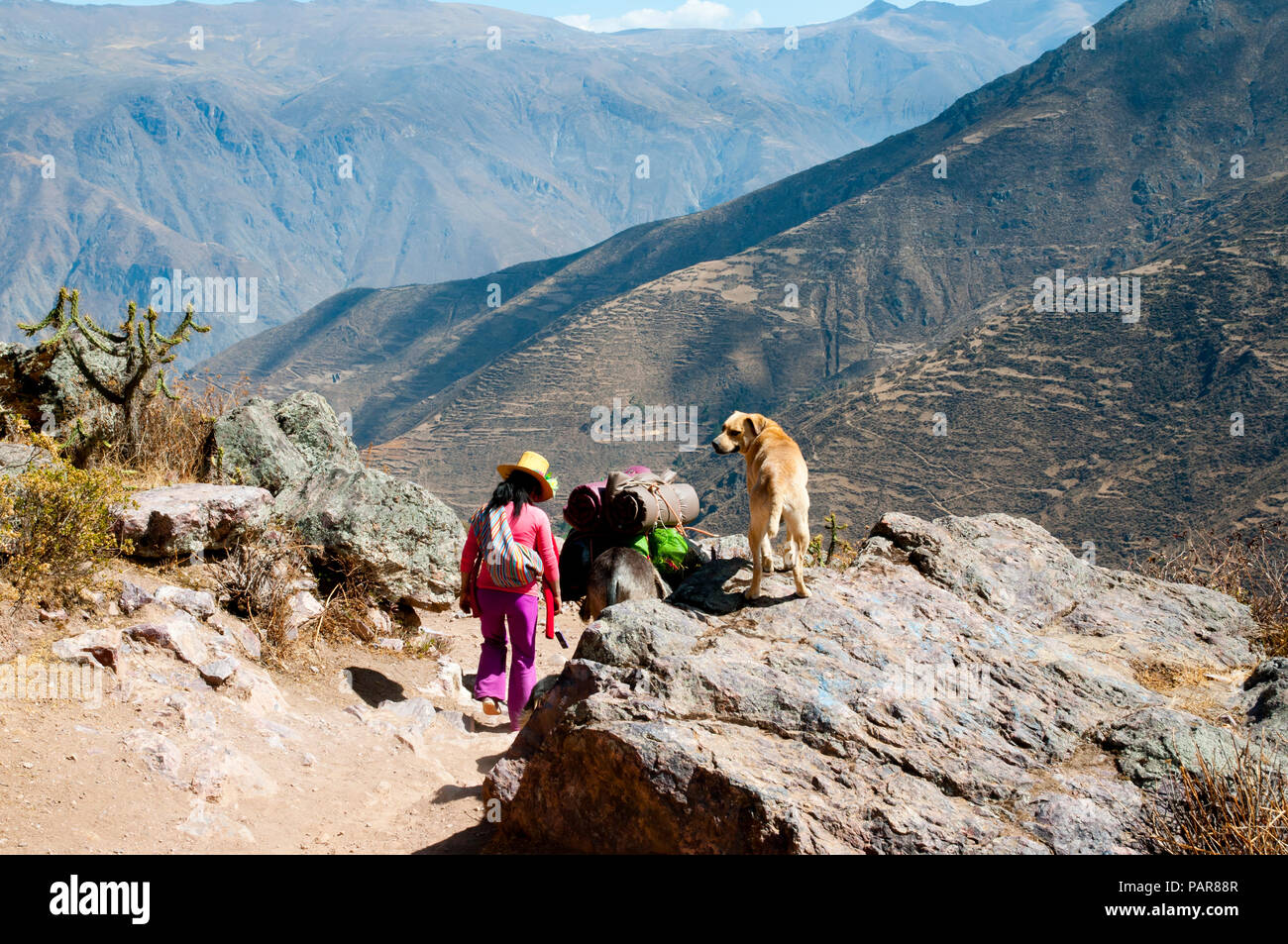 Trekking in the Andes - Peru Stock Photo - Alamy