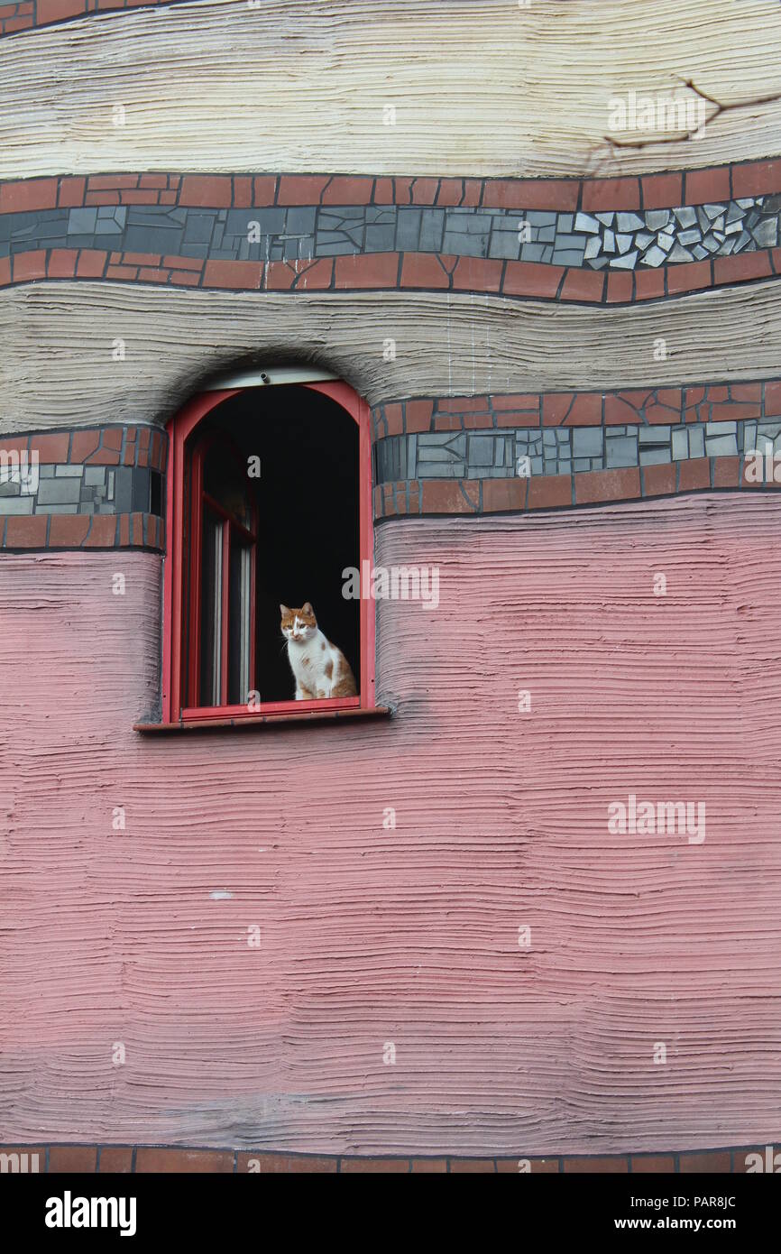 Cat in the window Stock Photo - Alamy