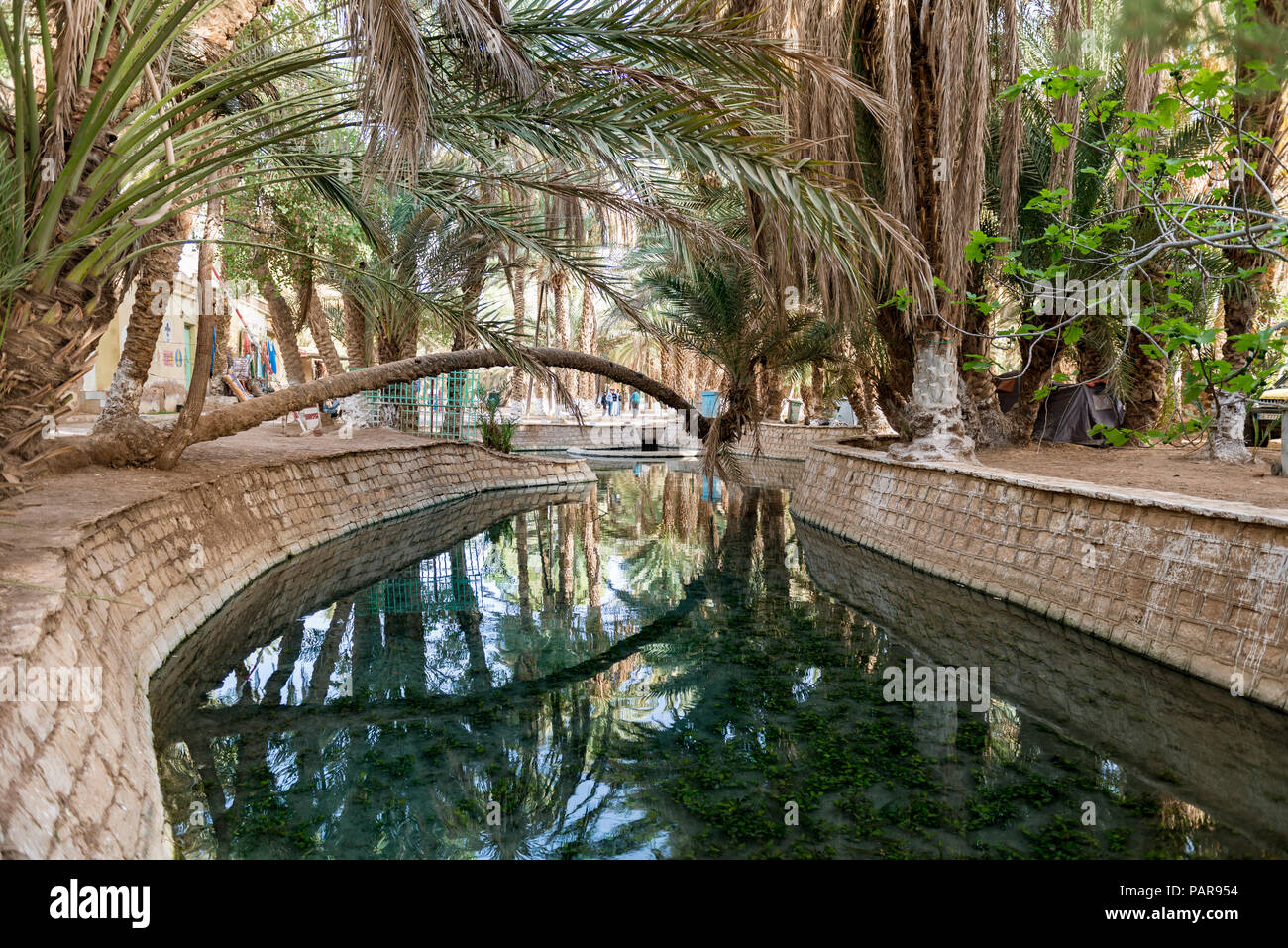 River with palm trees, Source Bleu oasis, Blue Spring, Madkhal Meski ...