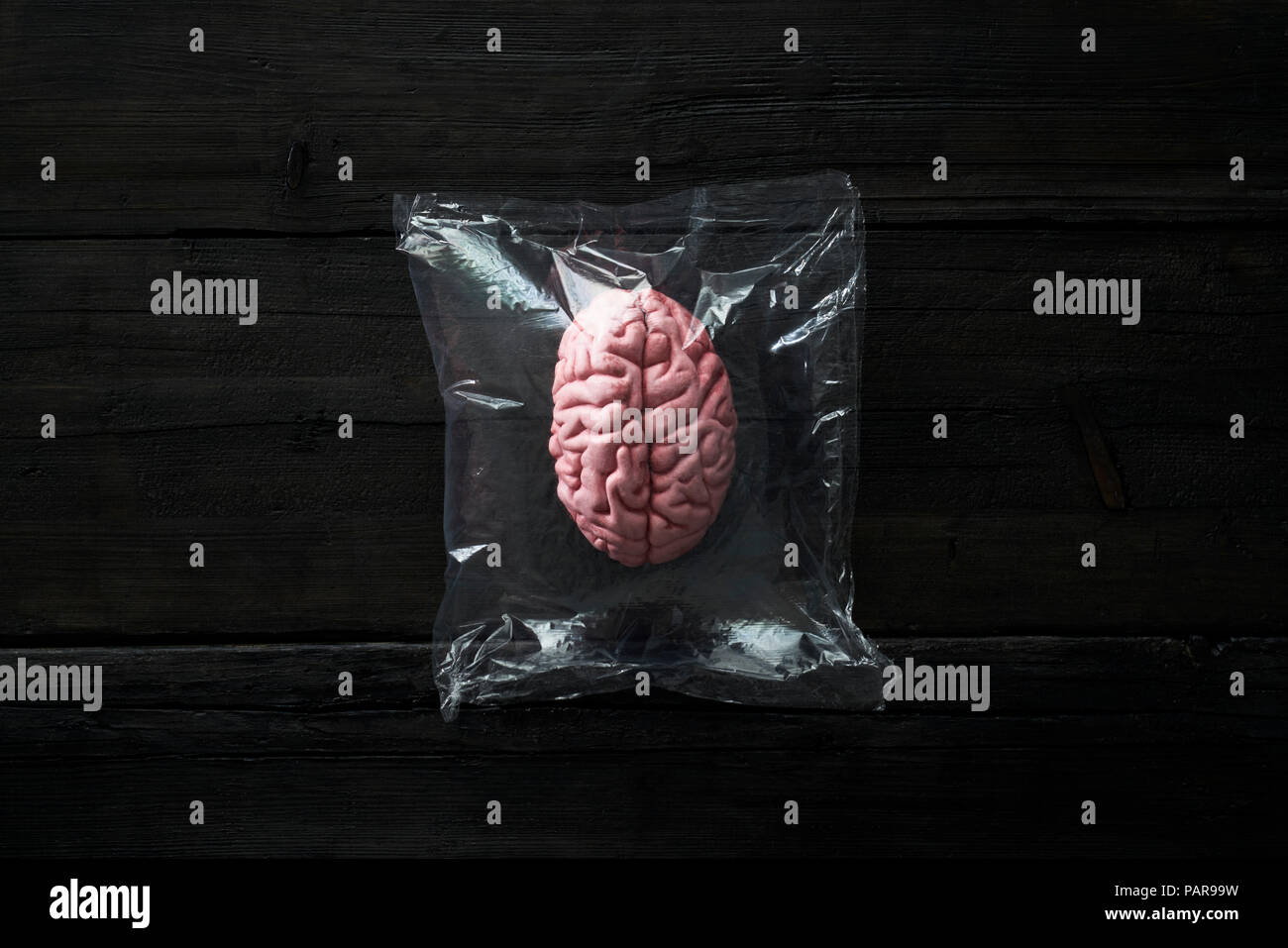 Symbolism in human brain hi-res stock photography and images - Alamy