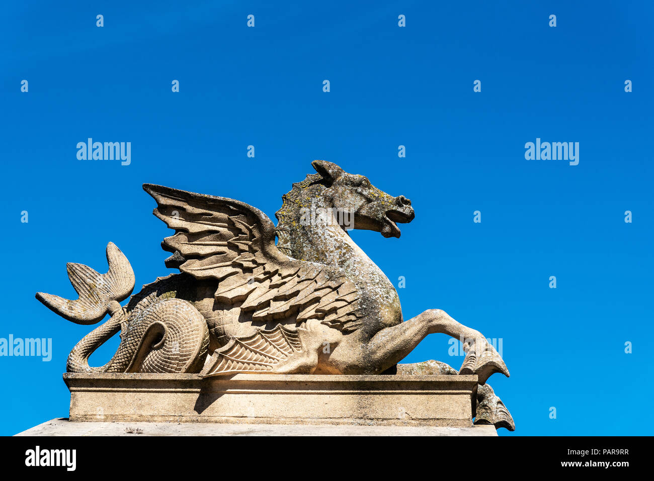 Winged horse hi-res stock photography and images - Alamy