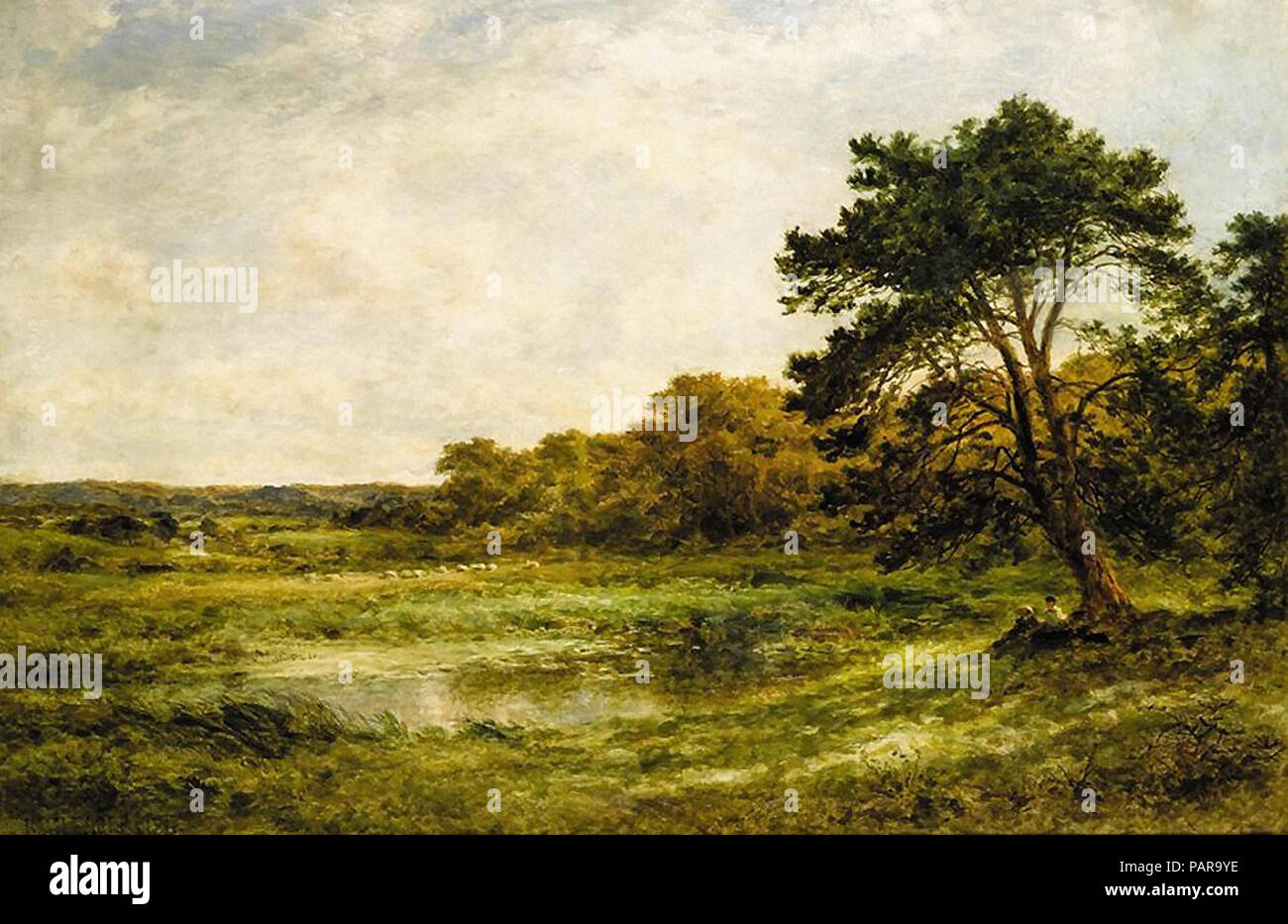 Leader Benjamin Williams - a Reedy Pool Stock Photo - Alamy