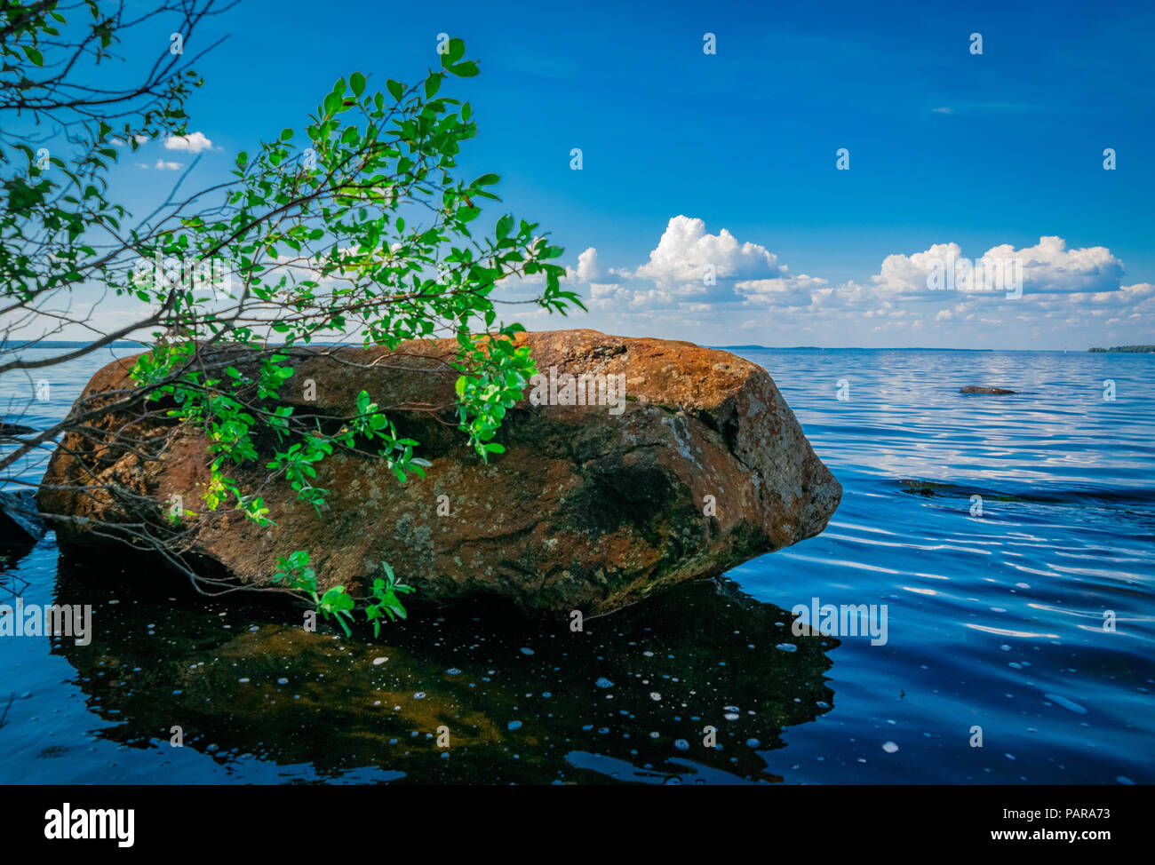 This rock is sunbathing Stock Photo - Alamy