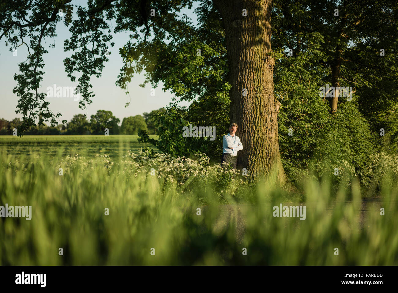 The leaning tree hi-res stock photography and images - Alamy