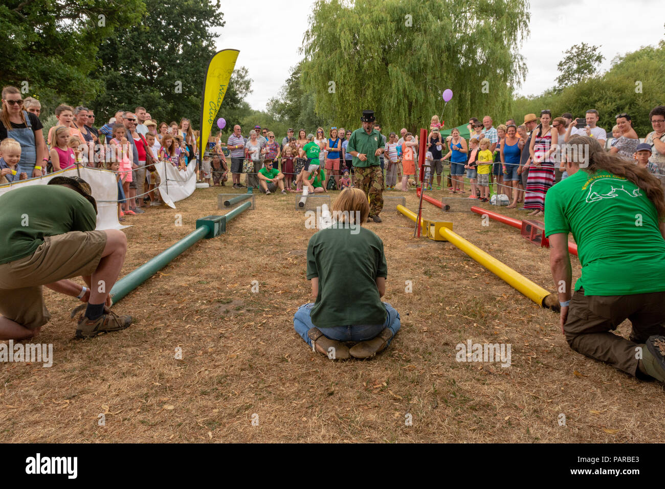 Ferret racing, hampshire hi-res stock photography and images - Alamy