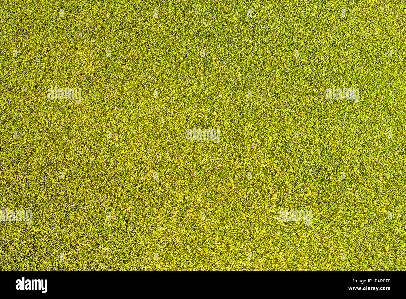 Golf green texture hi-res stock photography and images - Alamy