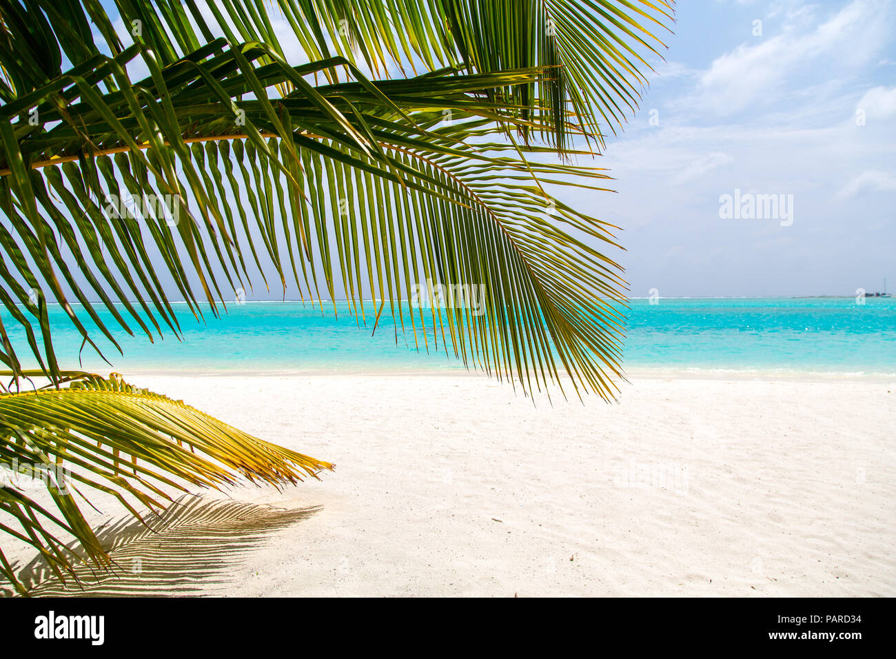 Maldives Beach Meeru Stock Photo - Alamy