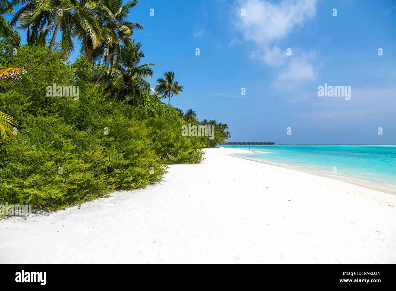 Maldives Beach Meeru Stock Photo - Alamy