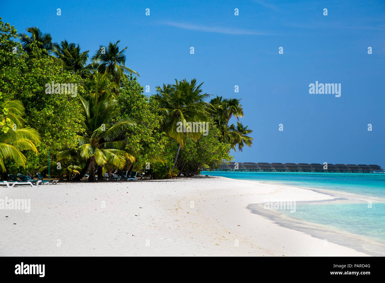 Maldives Beach Meeru Stock Photo - Alamy