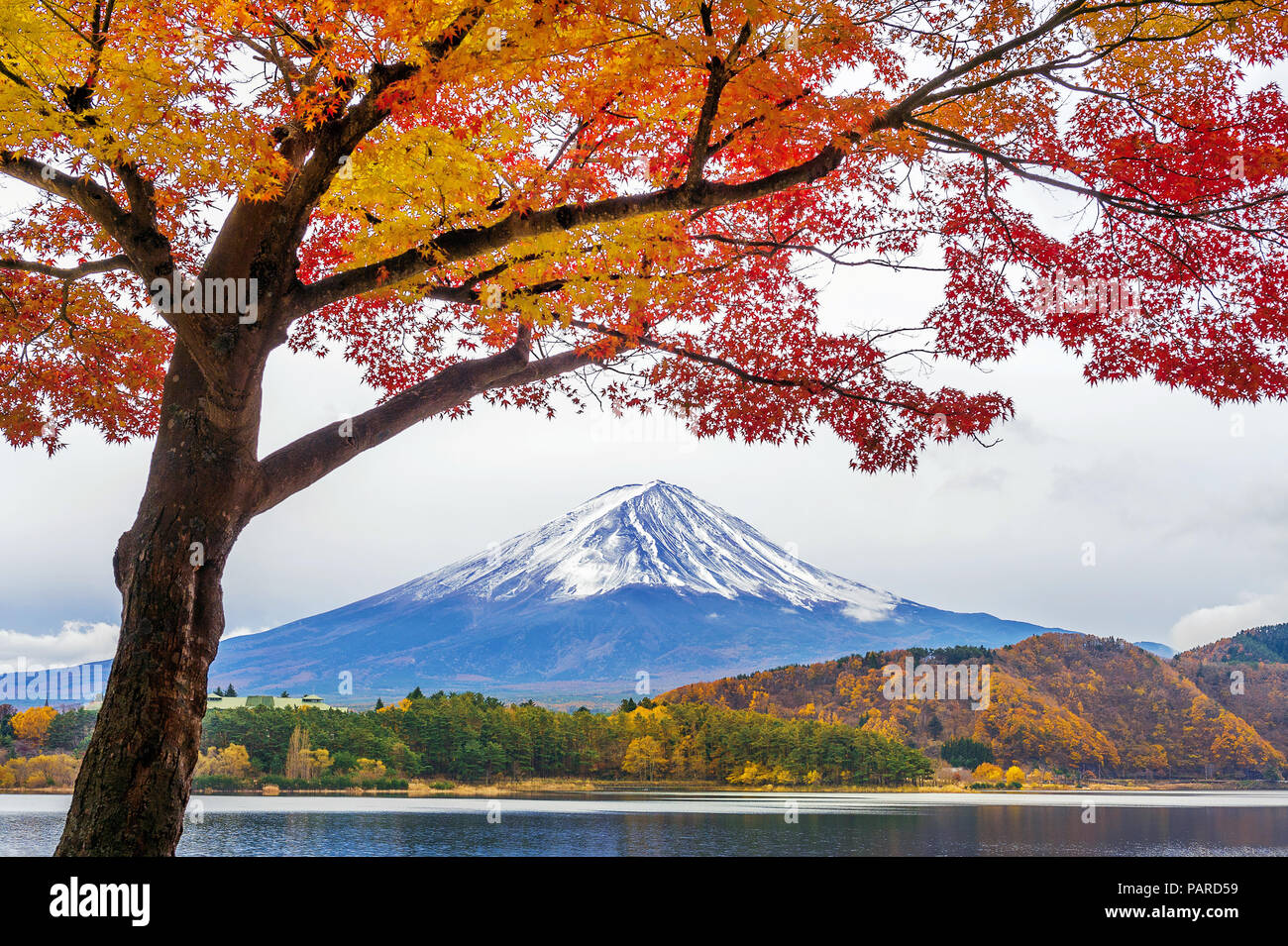Kawaguchiko beautiful fall scenery background hi-res stock photography and images - Alamy