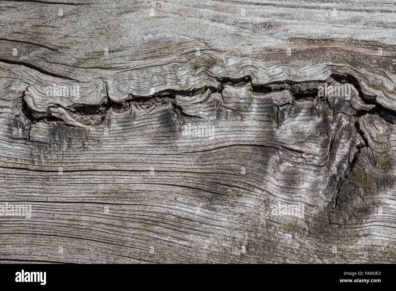 Ancient wood cracked texture background.Copy Space Stock Photo - Alamy
