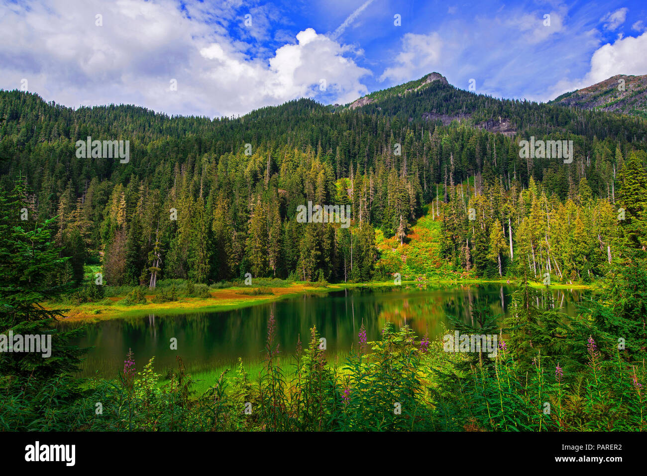 Lake Elizabeth is a quiet little lake at the headwaters of Money Creek ...
