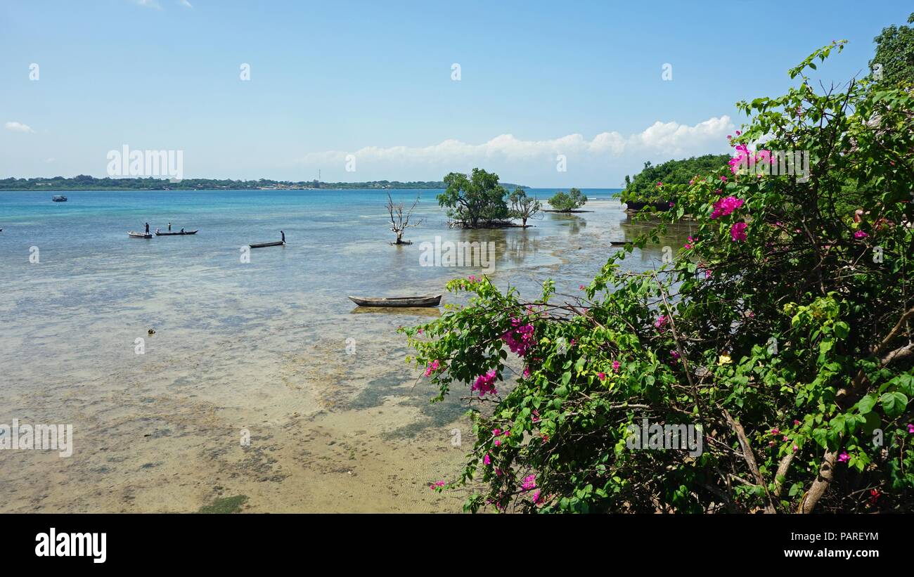 coast of tropical island wasini in kenya Stock Photo - Alamy