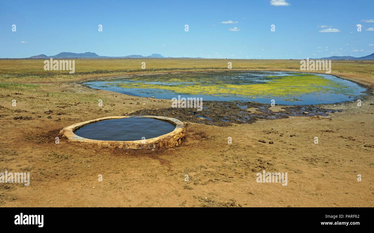 scenic landscape around a water whole in kenyan national park Stock ...