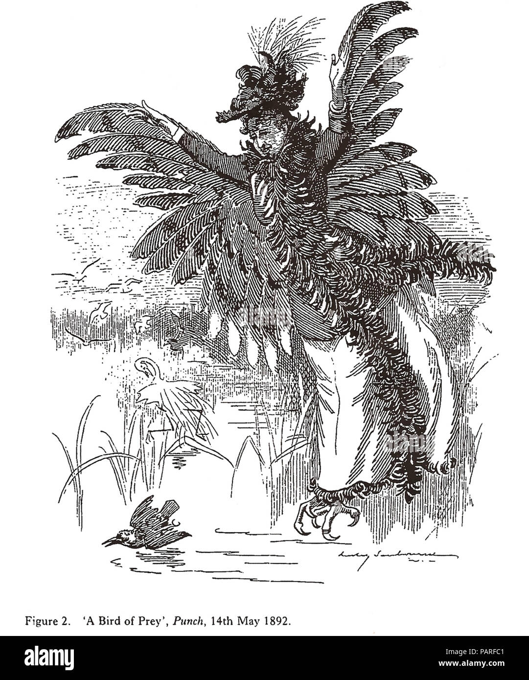 FEATHERED HAT - bird feathers were fashionable in late Victorian ...