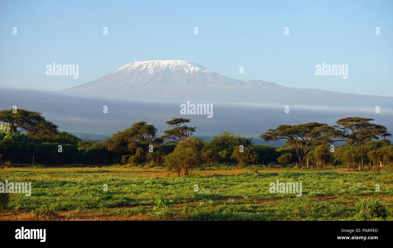 landscape in kenyan national park with mount kilimanjaro Stock Photo ...